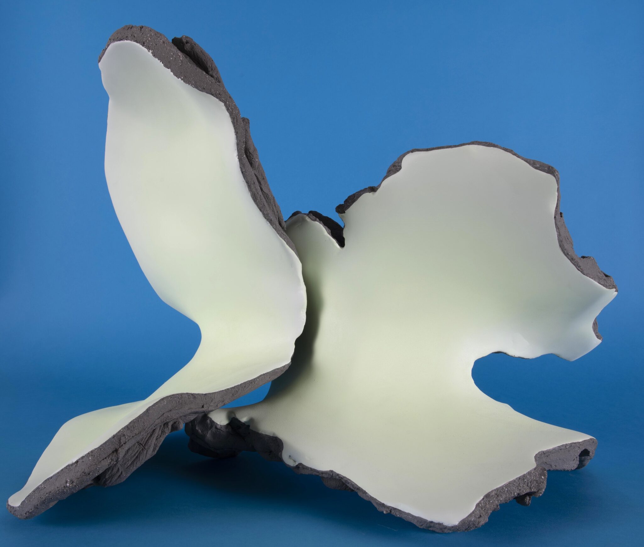 Let’s visit the exhibition Teresa Solar Abboud. Bird Machine Dream ...