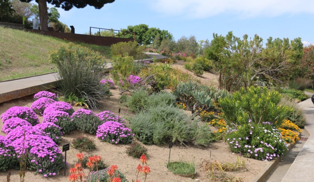 Let’s visit the Jardí Botànic de Barcelona | Activity | MACBA Museum of ...