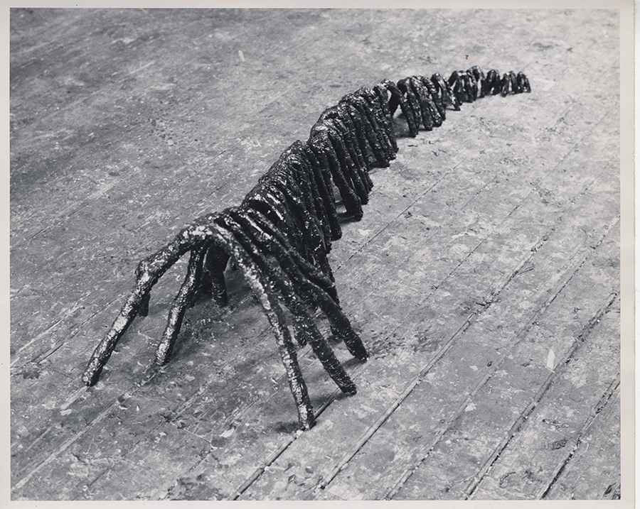 Rosemarie Castoro. Focus at Infinity | Exhibition | MACBA Museum of ...