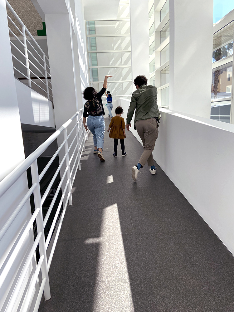 Waves, fins, tentacles and wrinkles | Activity | MACBA Museum of ...