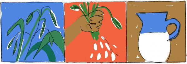 Leche de avena. AMOR. El ingrediente más importante | MACBA Museo de ...