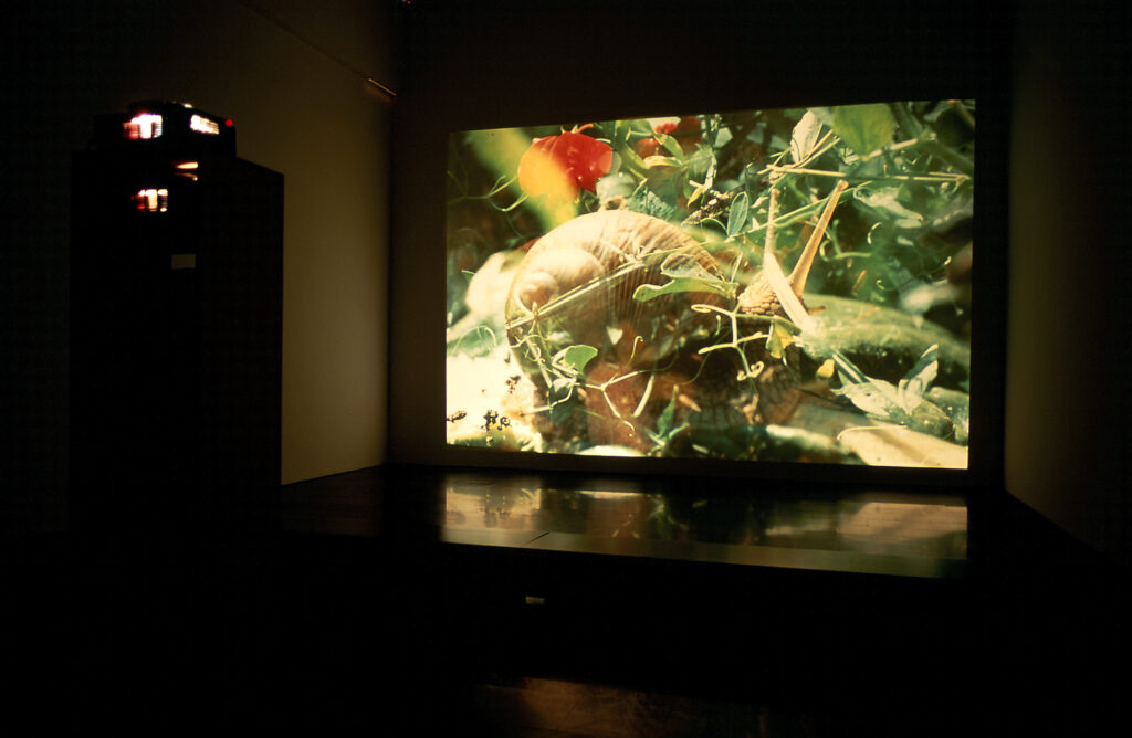 Visible World | Exhibition | MACBA Museum of Contemporary Art of Barcelona