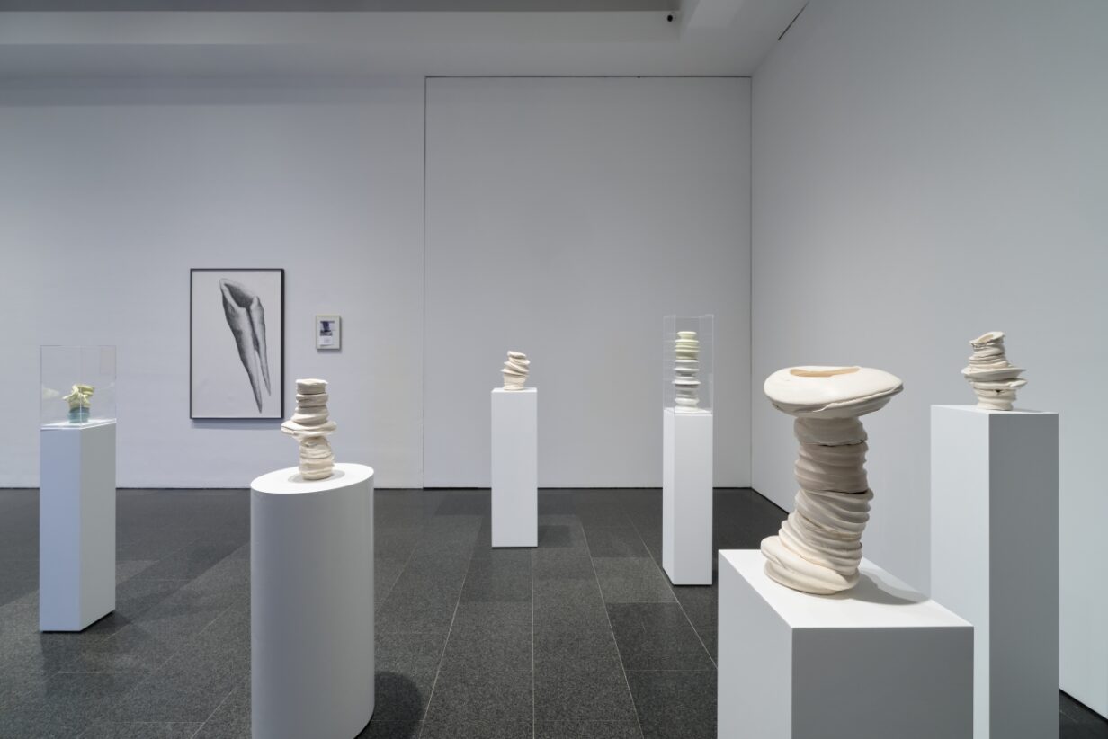 Teresa Solar Abboud. Bird Machine Dream | Exhibition | MACBA Museum of ...