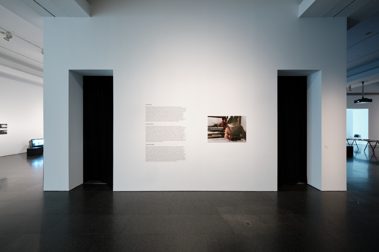 Coco Fusco. I Learned to Swim on Dry Land | Exhibition | MACBA Museum ...