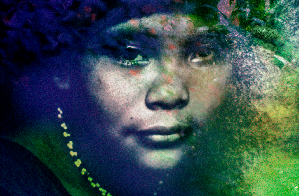 Visitas para grupos y centros educativos a Como una danza de estorninos ...