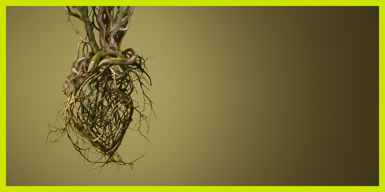 MACBA Museum of Contemporary Art of Barcelona